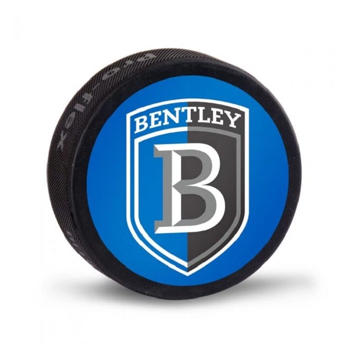 Bentley University Mascot