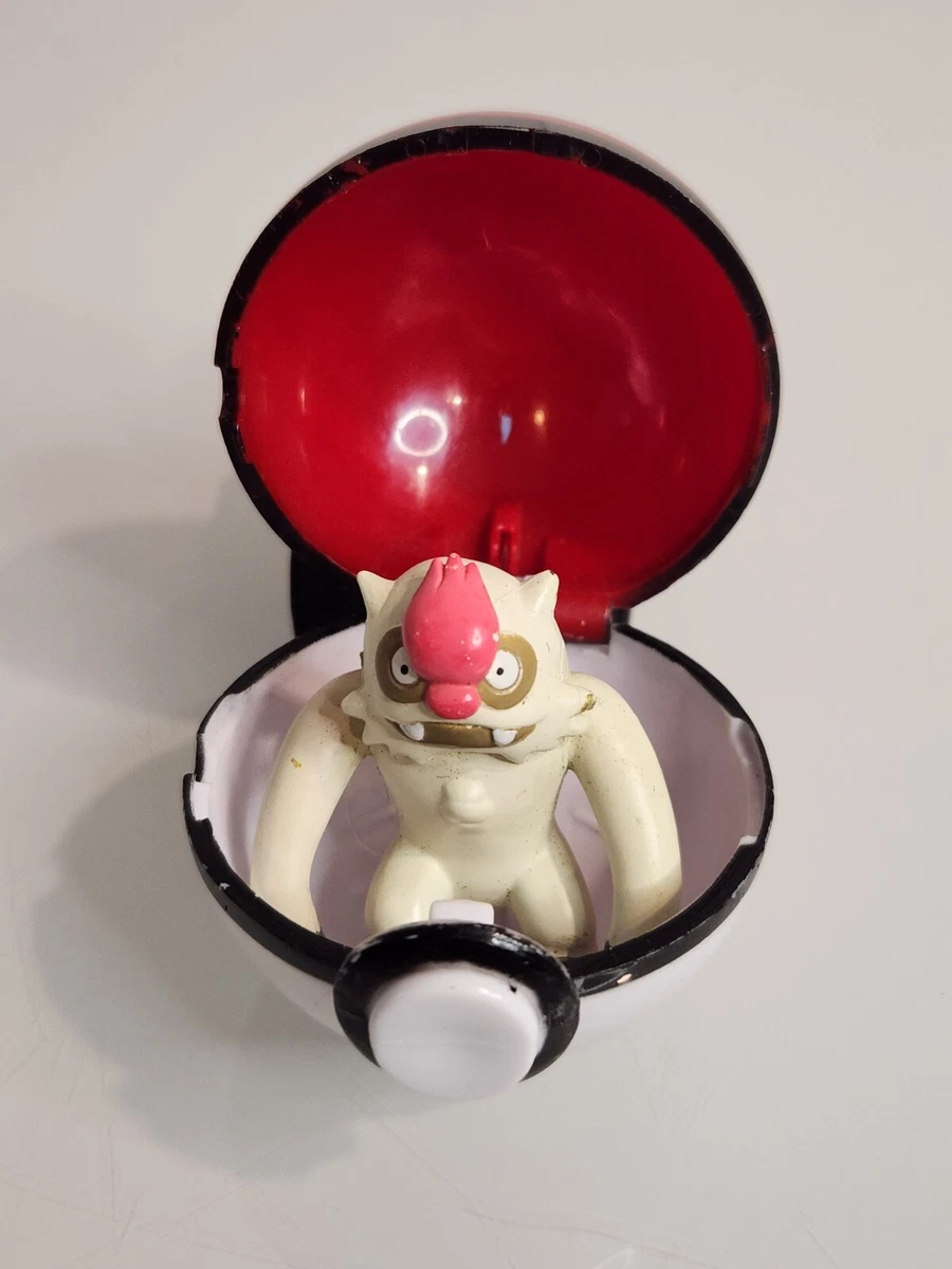 Pokeball Catching Pokemon