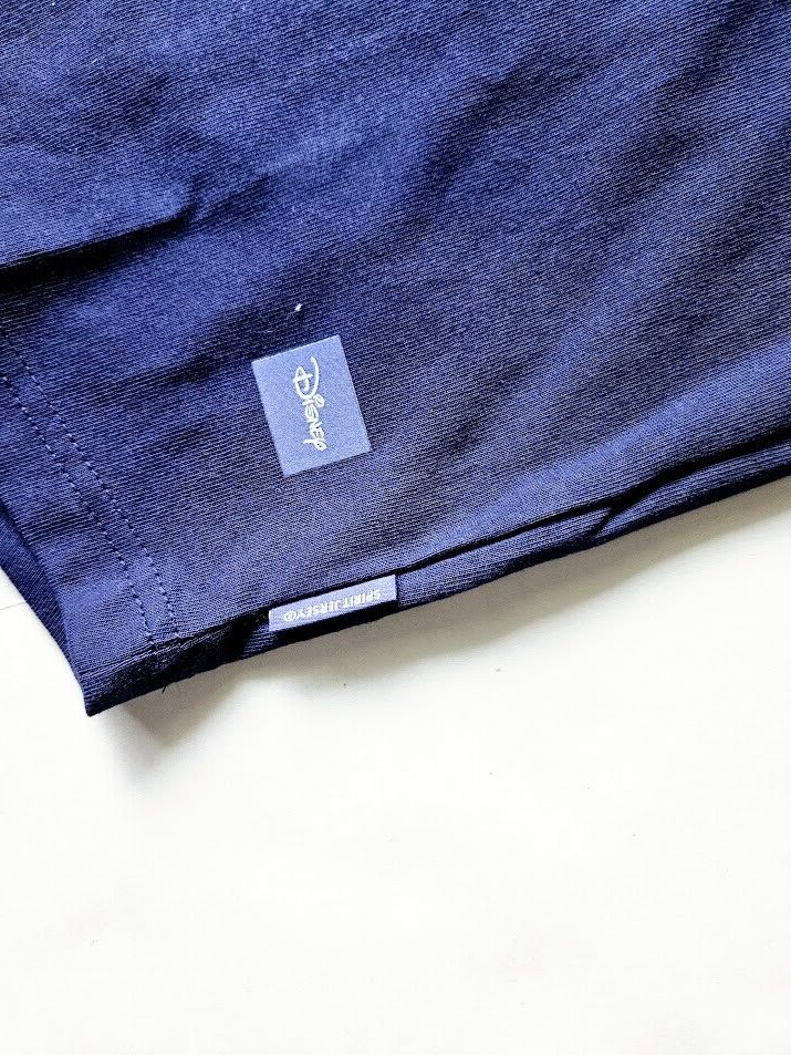 Walt Disney World Magic Kingdom Cinderella Castle Firework Spirit ...