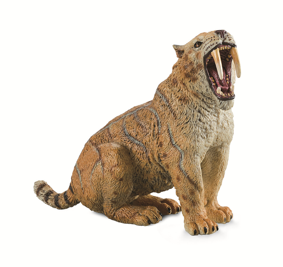 Real Saber Tooth Tiger Pictures