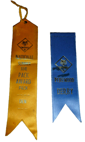 Vintage BSA Boy Scout Award Lot Of 2 Ribbons National Summer & Pinewood ...
