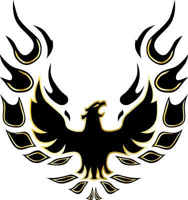 Pontiac Firebird Trans Am Year One Bandit Vinyl Sticker Decal Car ...