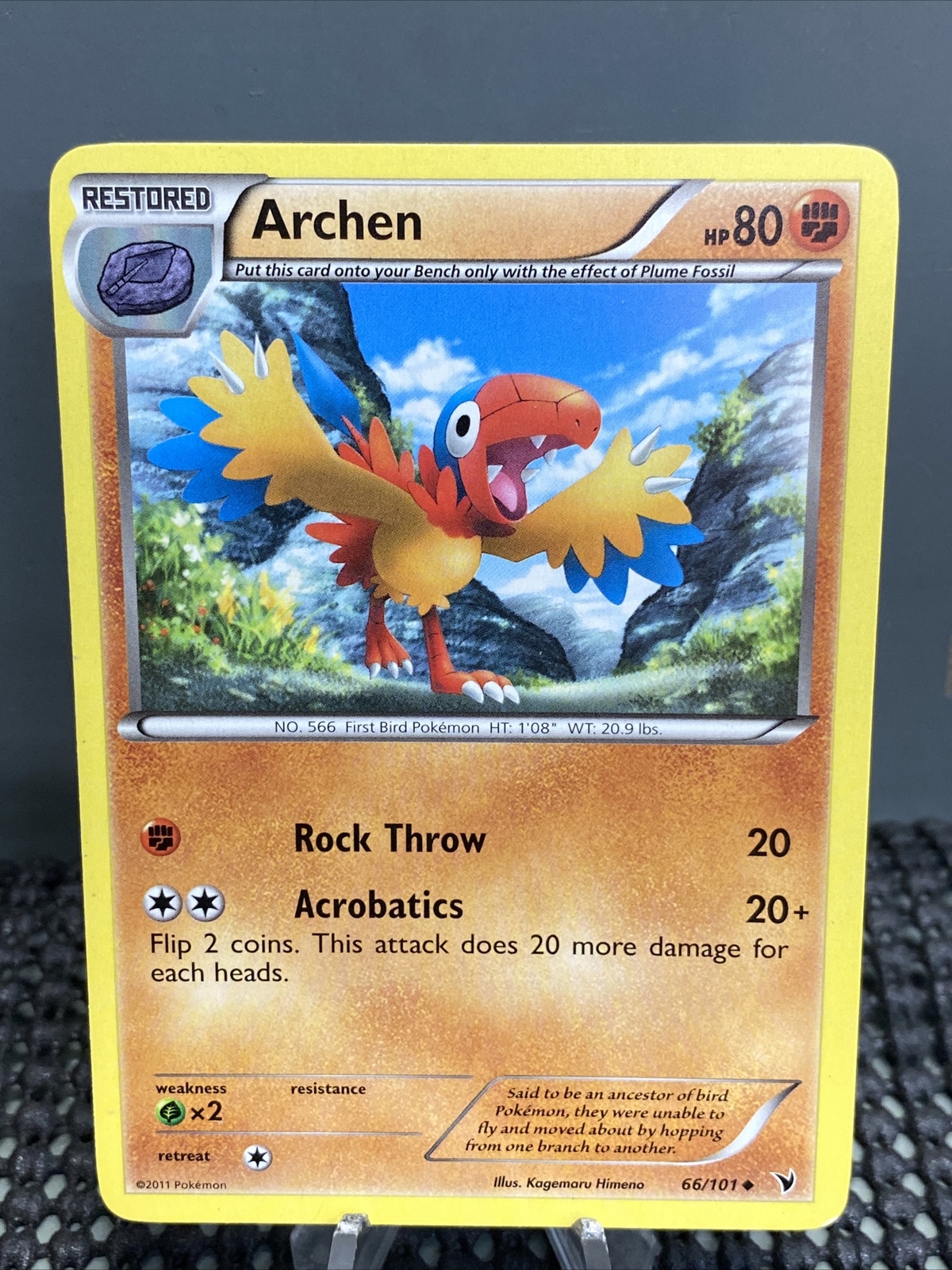 Archen Card