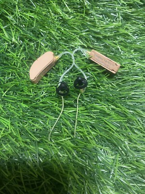 Microtech Radius 12 OTE 10 Hearing Aids Left & Right Pair - Over The ...