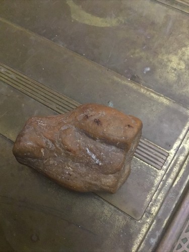 Native American Archaic Effigy Stone Animal Head Artifact | eBay