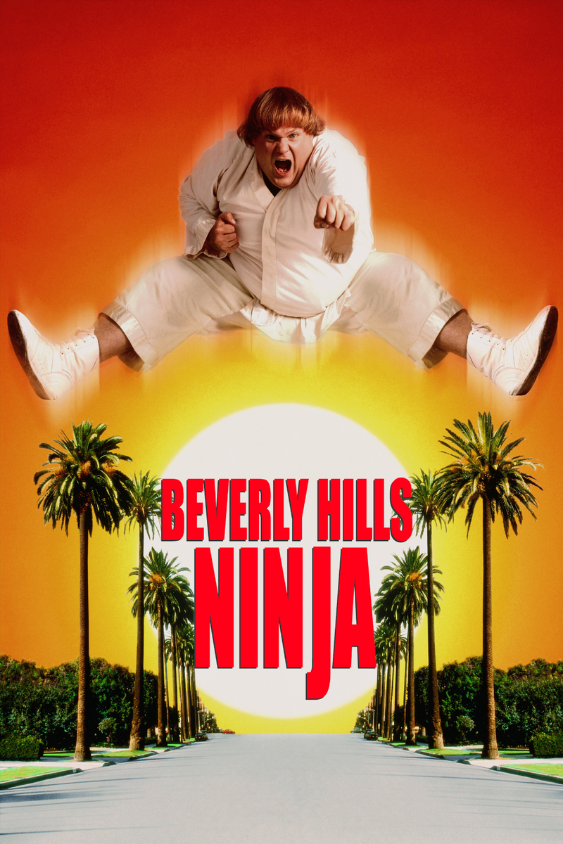 Beverly Hills Ninja Poster Beverly Hills Ninja OG VHS Movie Poster