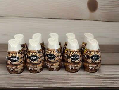 (10) Renuzit GINGERBREAD JOY CONE GEL AIR FRESHENER SPECIAL HOLIDAY ...