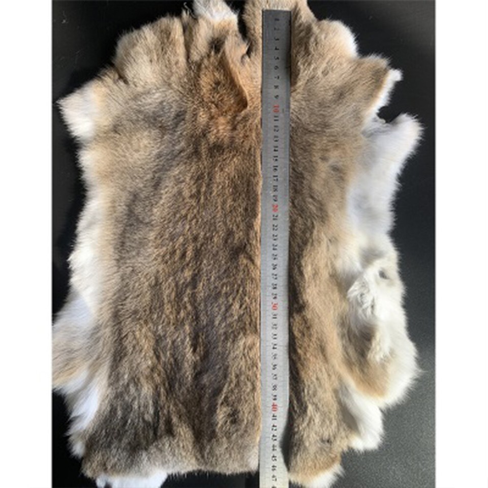 5pcs Genuine Rabbit Pelt Fur Skin Hides Tanned Real Bunny Leather For ...