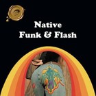 Native Funk Flash: An Emerging Folk Art - Paperback - VERY GOOD ...