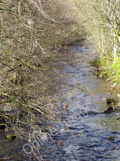 Photo 6x4 Arkle Beck, Langthwaite Arkle Town Looking upstream. c2011 ...