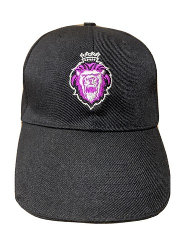 ECHL Reading Royals (SGA) Black Hockey Hat/Cap With Logo | eBay