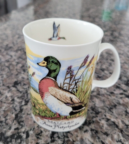 Fine Bone China Mug Sue Scullard Mallard Cup England Platyrhynchos Duck ...