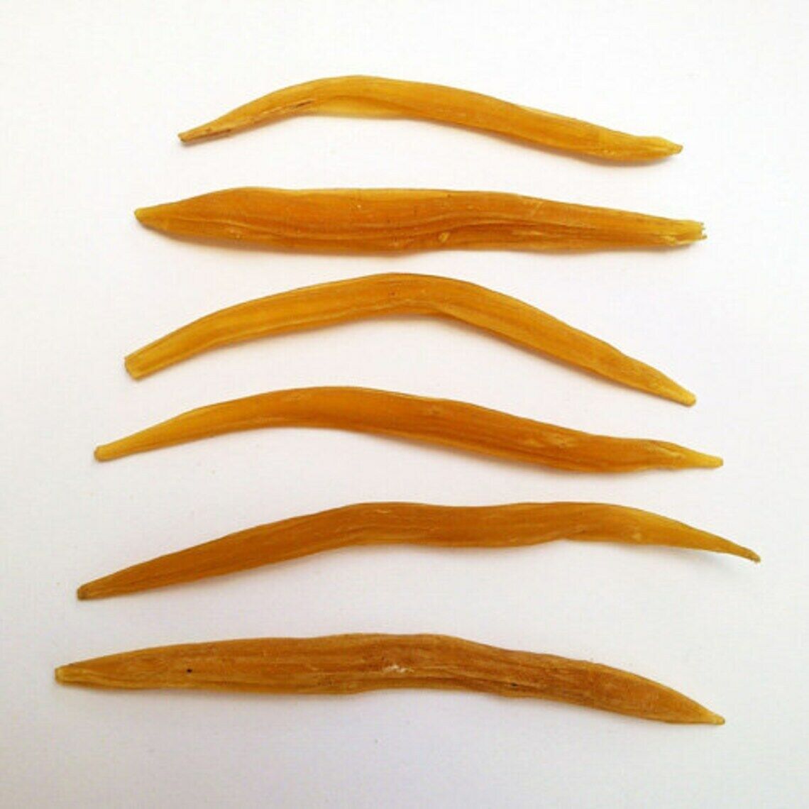 Yellow Shatavari Root Satavar Jelly Form Shatamull Natural Herbs- 50gm ...