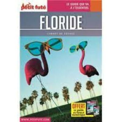 Guide Floride 2018 Carnet Petit Futé | Petit Futé | Très bon état | eBay