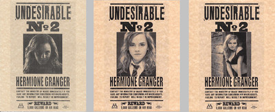 Harry Potter Wanted Poster Hermione