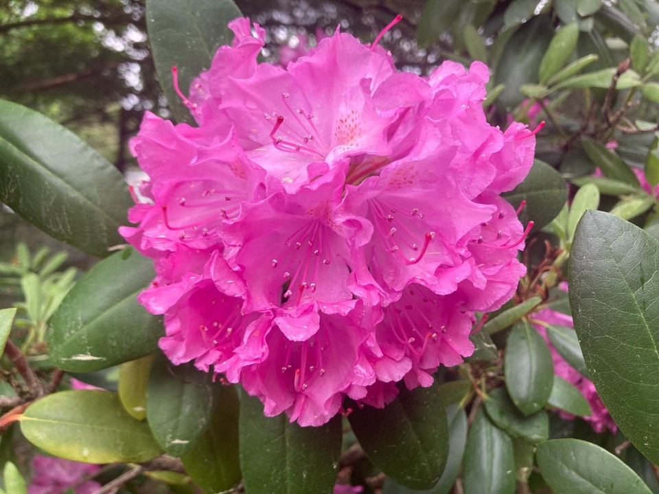 Tiros Satellite NASA FORT MONMOUTH NJ RCA Original Postcard 1960 s COLD ...