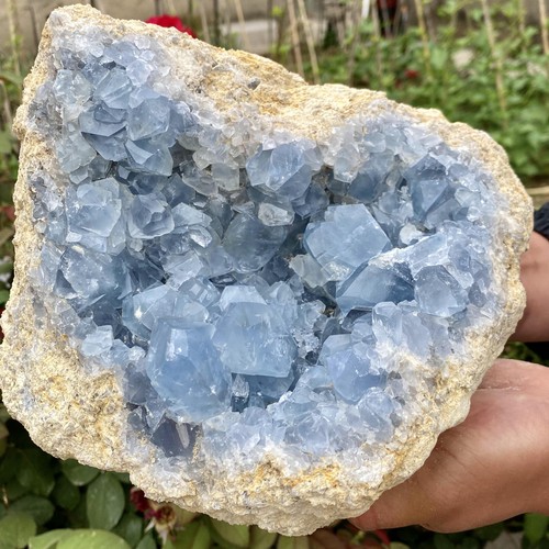 18.19LB Natural Beautiful Blue Celestite Crystal Geode Cave Mineral ...