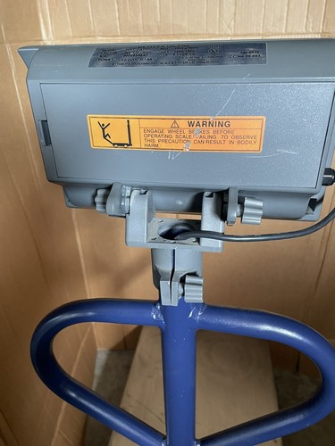 Mettler Toledo Wildcat WW250VR 500lb Floor Scale | eBay