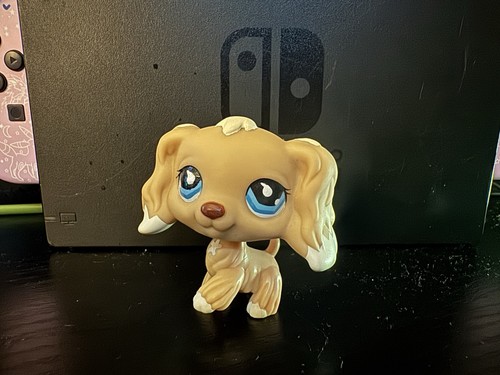 LPS Littlest Pet Shop Custom Prototype Cocker Spaniel 757 Made W/ Fake ...