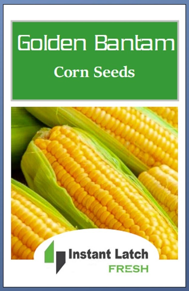Golden Bantam Corn Seeds | Non-GMO | Heirloom | Fresh Garden Seeds | eBay