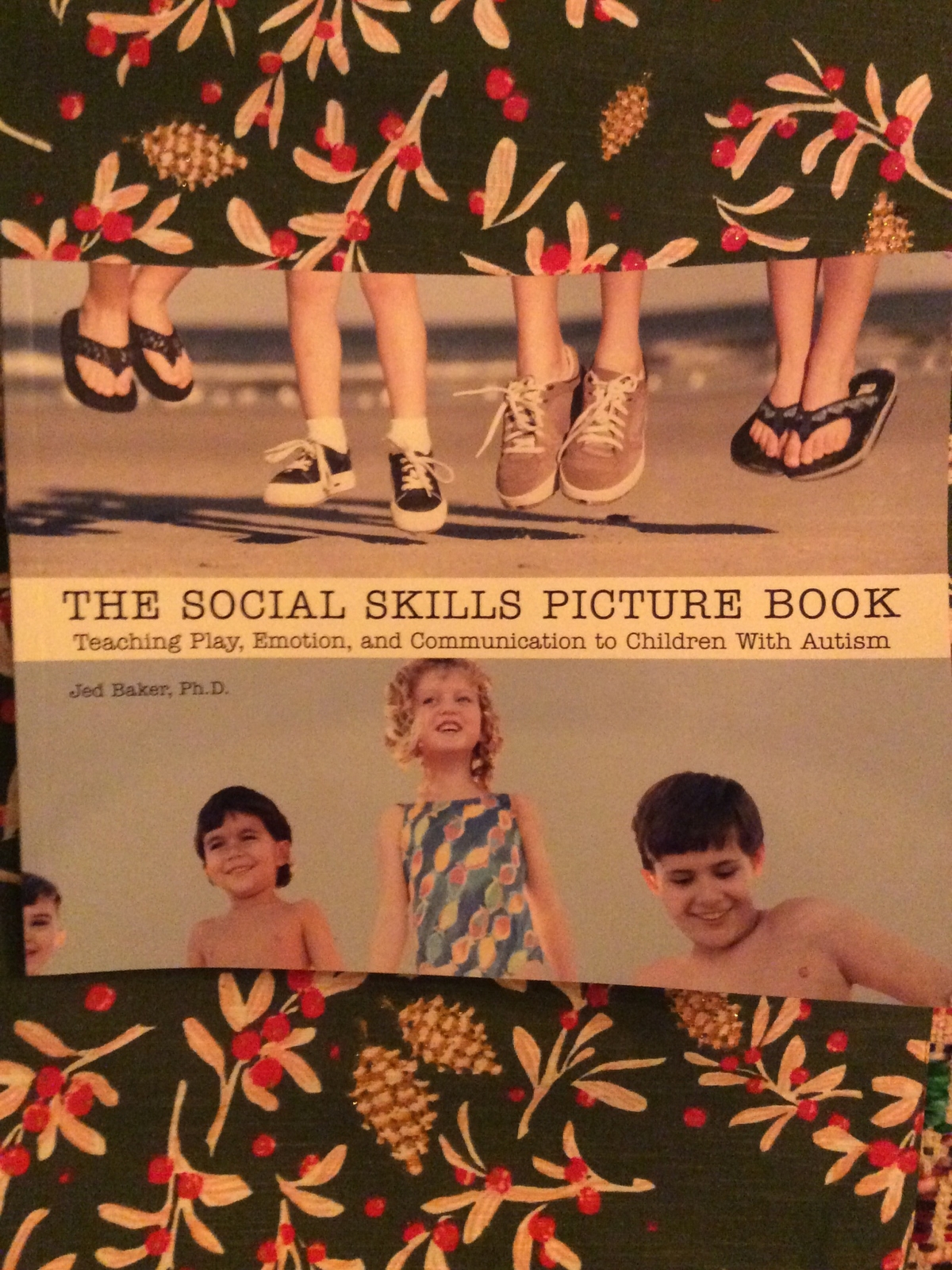 Social Skills Picture Book (2001) Jed Baker Autism Children ...