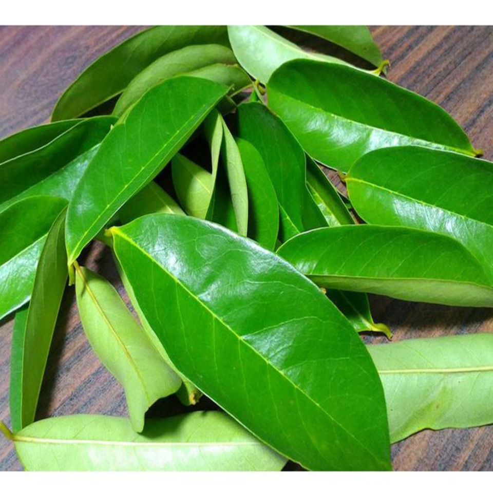 Dried Soursop Graviola Leaves Herbal Tea Organic Hojas De Guanabana ...