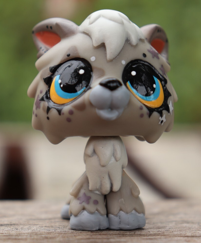 Littlest Pet Shop/ LPS, Super Star Timber Wolf, OOAK Custom, Hand ...