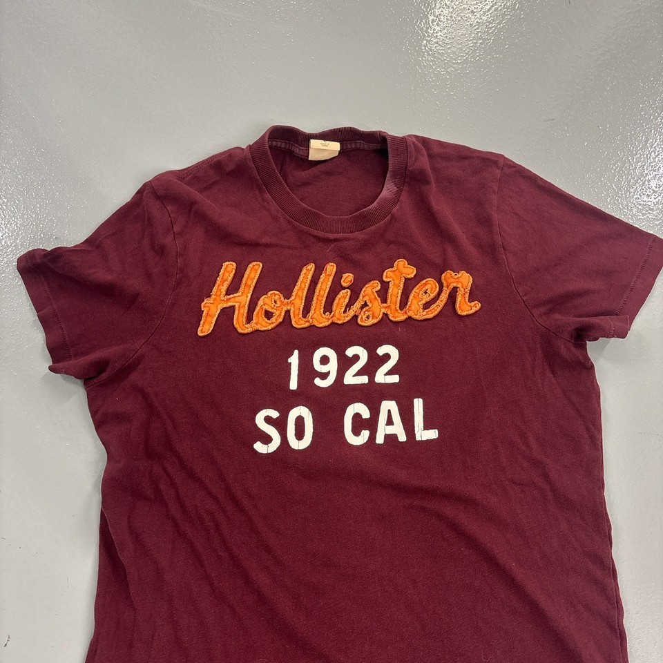 Vintage Y2K Skater Hollister Men’s L Surf Graphic T-Shirt 1922 Logo Tee ...