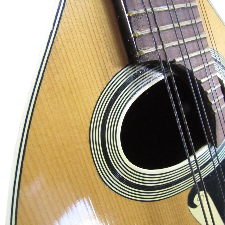 Barera Venezia Neapolitan Mandolin Walnut & Rosewood Bowlback Denim ...