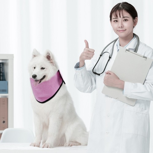 Pet Cool Scarf Dog Cooling Neck Wrap Towels for Dogs Summer Cooler | eBay