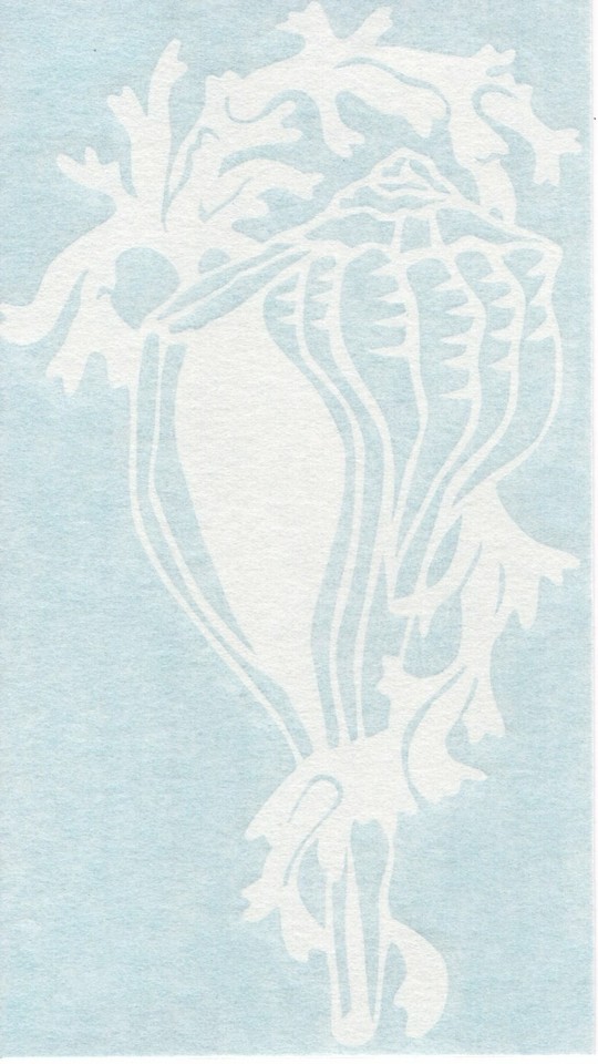 Conch Shell Marine Tropical Hawaii Nautical Car Bumper Vinyl Decal ...