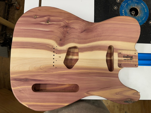 Cedar telecaster/barncaster style body | eBay