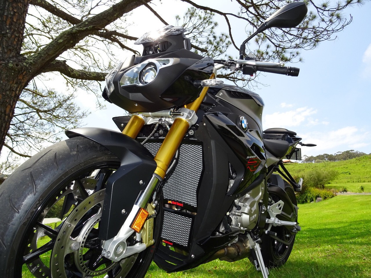 BMW S1000R Radiator & Oil Cooler Guard 2014-2020 BLACK | eBay