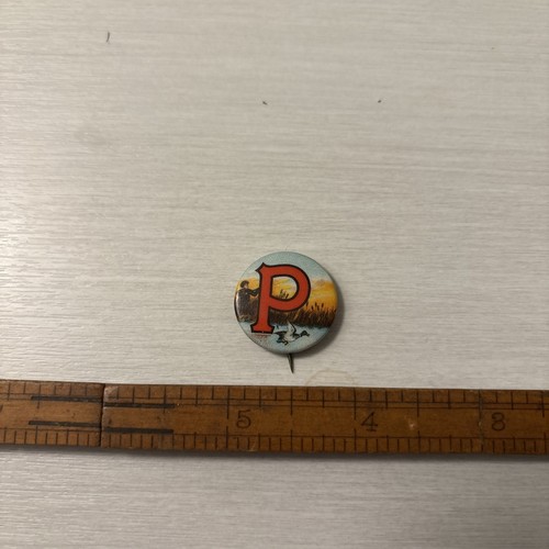 Rare Peters Shells Ammunition Duck Hunting Scene Pin Button | eBay