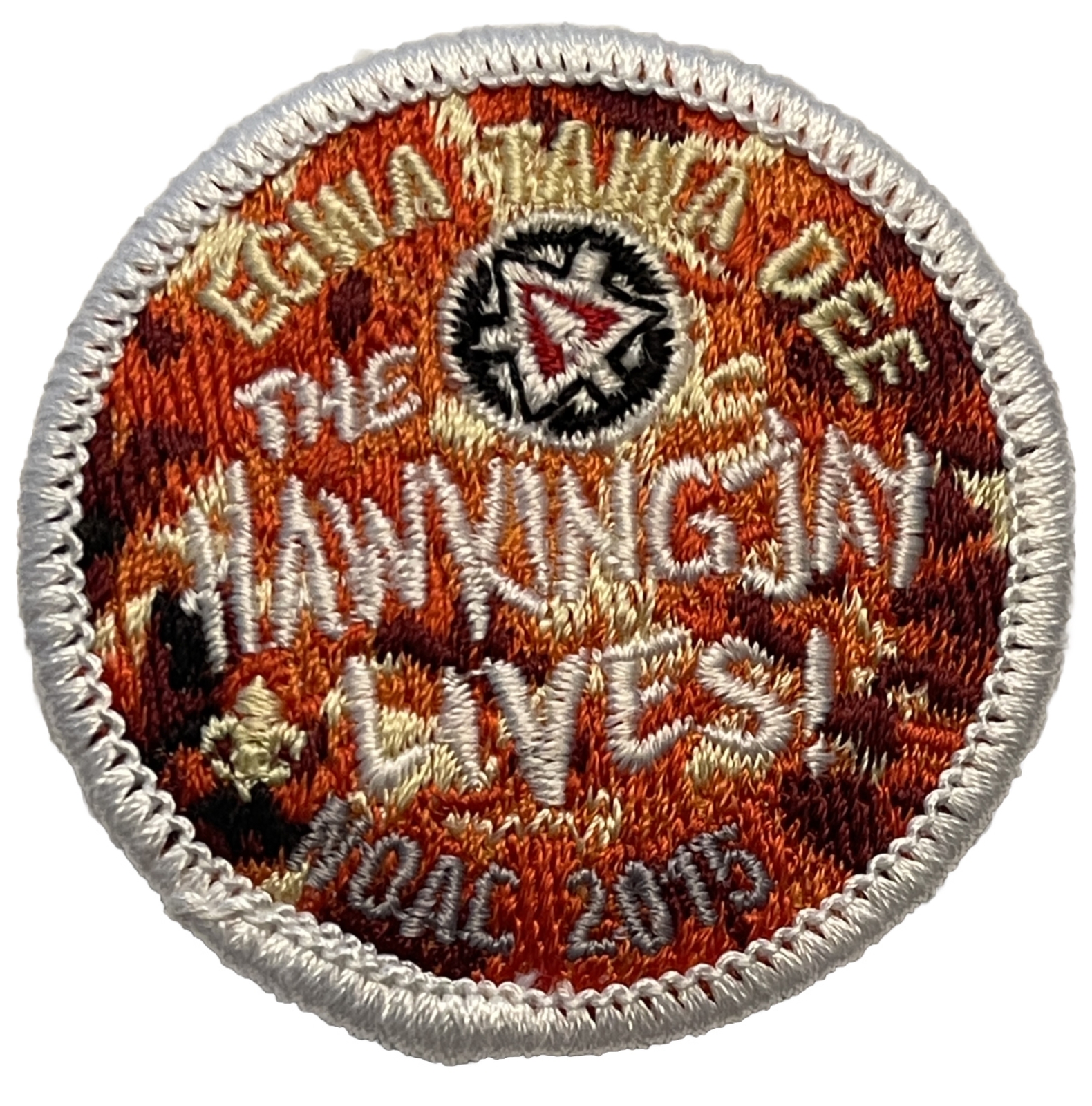 OA Patch Egwa Tawa Dee Lodge 2015 NOAC Hawking Jay Order of the Arrow ...