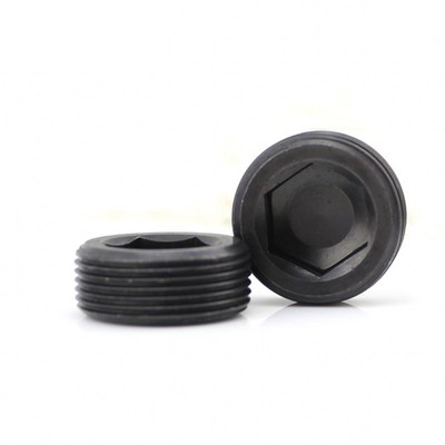 QTY 2 - M14 x 1.5mm Pitch Plug Throat Hex Socket Pipe Plugs High ...
