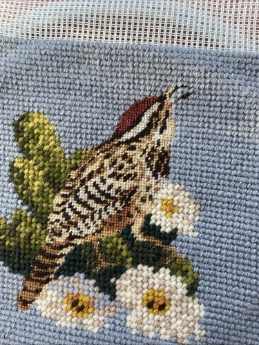 ARIZONA “Cactus Wren Bird NeedlePoint” 5x7” Finished/Add Hoop/Thread Included | eBay