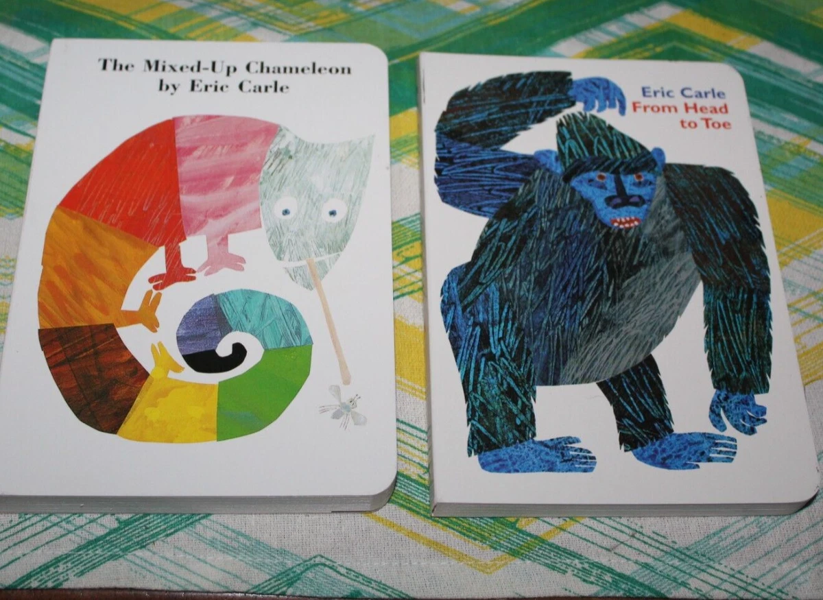 From Head To Toe Book