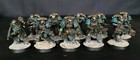 Pro Painted 40k Astral Claws Chapter Army | eBay.de