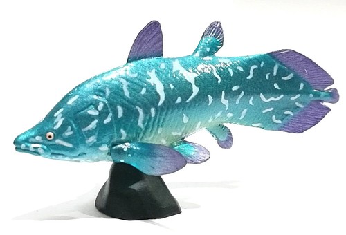 Japan Kaiyodo Dinotales Axelrodichthys Coelacanth Realistic Fish Figure ...