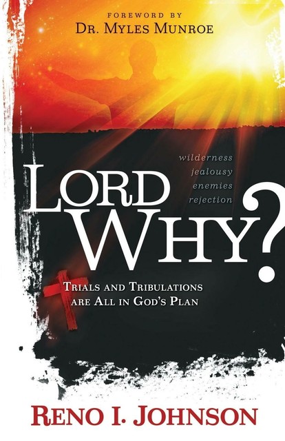 LORD WHY? von Reno I Johnson (2020, Taschenbuch) online kaufen | eBay.de