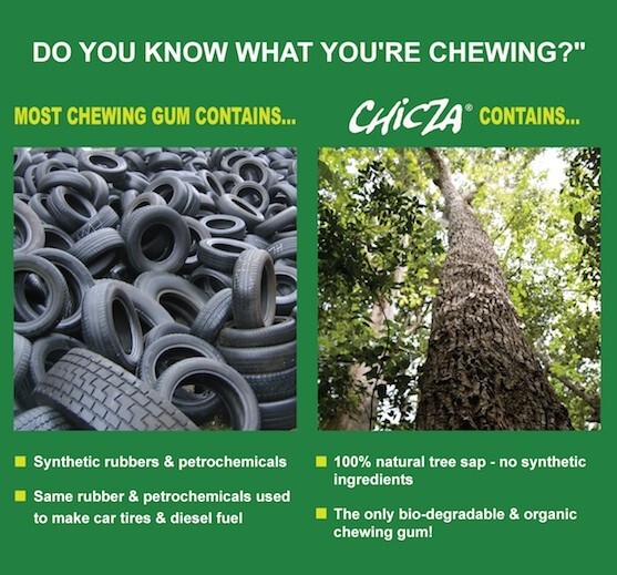 Natural Mayan Chewing Gum "Chicza" - 10 x 12 Cinnamon Gums | eBay