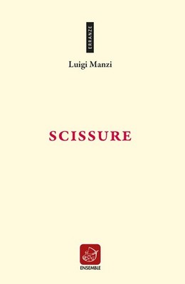 Libro - Luigi Manzi - Scissure - Ensemble | eBay