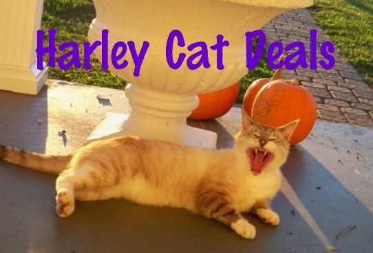 Harley Cat Deals | eBay Stores