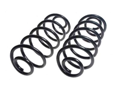 15ZJ15M Rear Coil Spring Set Fits 1971-1972, 1975-1976 Oldsmobile Delta ...