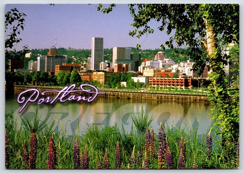 Vintage Postcard Continental Portland Oregon Pretty Lupine Flowers | eBay