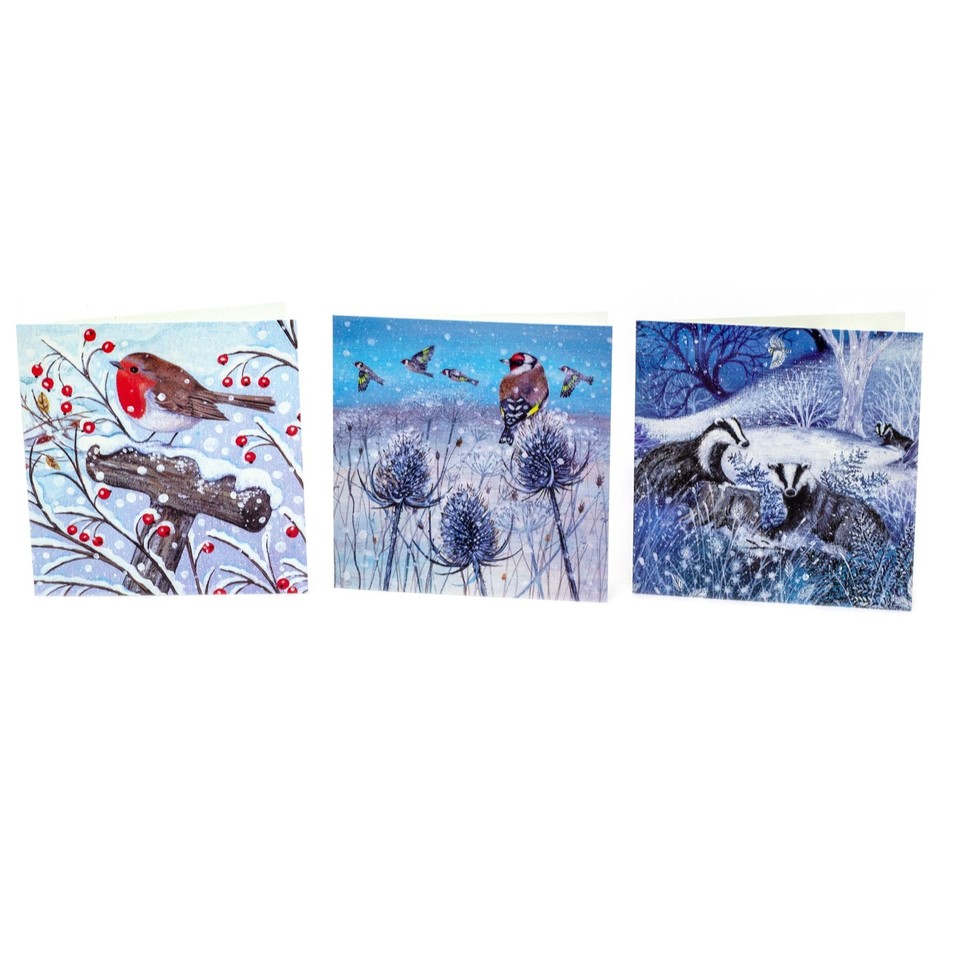 Pack of 20 RSPB Charity Christmas Greeting Cards | Winter Wildlife ...