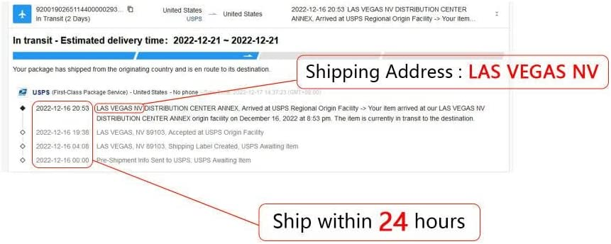 NELPS US Old Rare LPS Shorthair Cat and Kitten Lot LPS Cats and ...