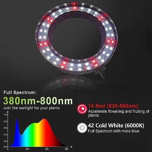 Grow Light 50W, 6000K LED White Full Spectrum Plant Growing Lamp for ...