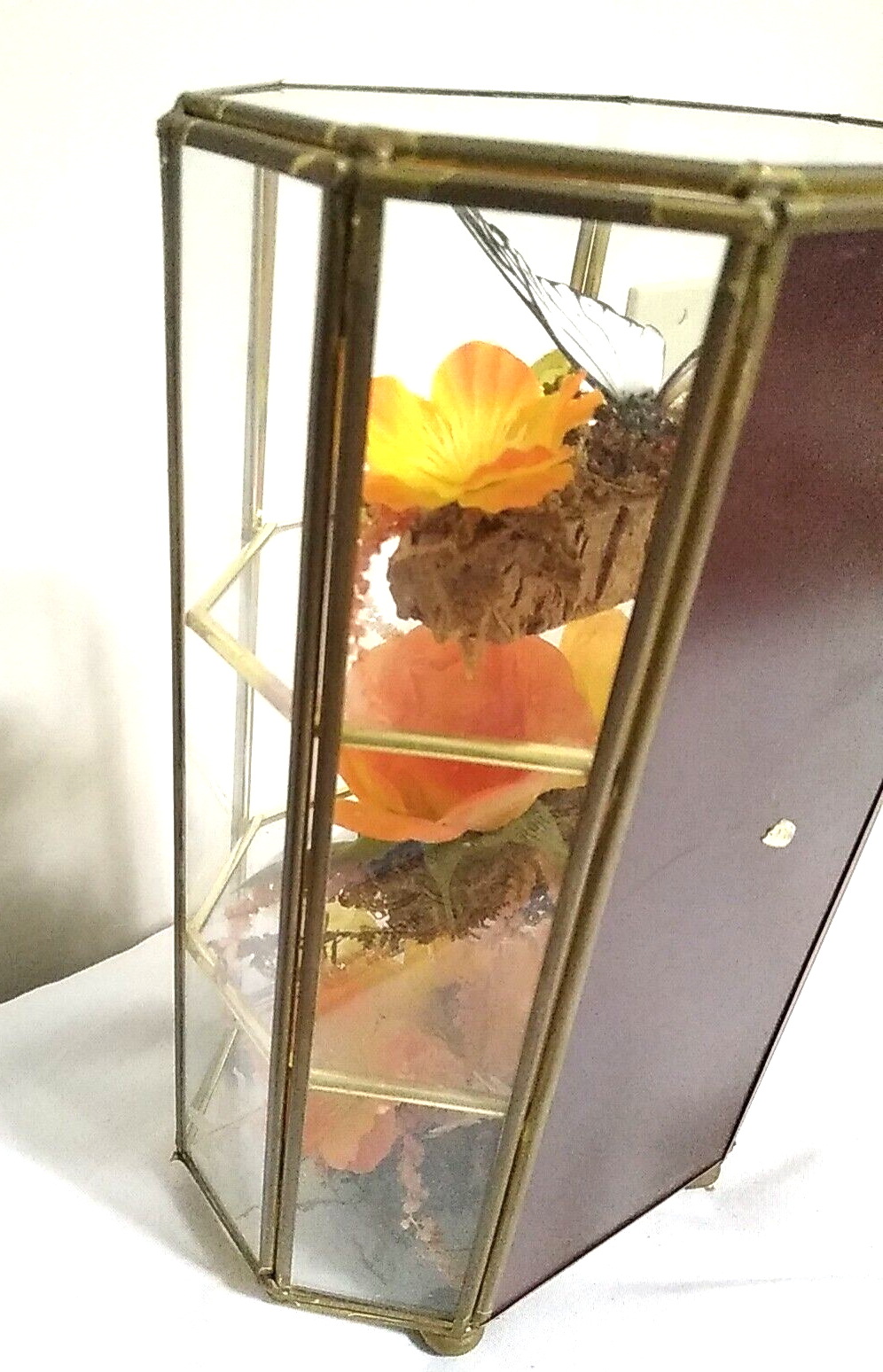 VTG RARE Real Butterfly Flowers Display Taxidermy Glass Casket Window ...